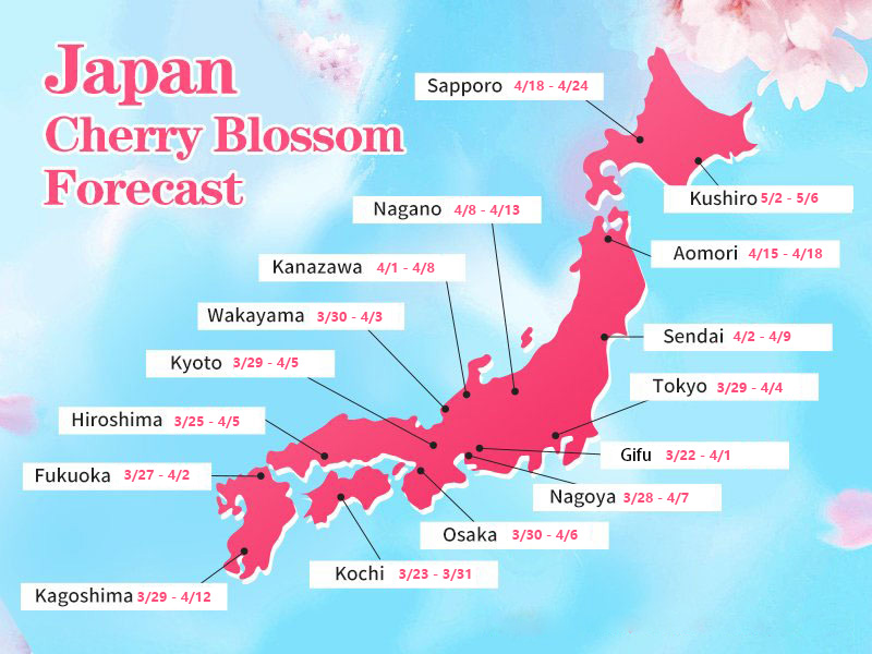 Cherry Blossom Season Japan 2025 Forecast Map - Living + Nomads ...